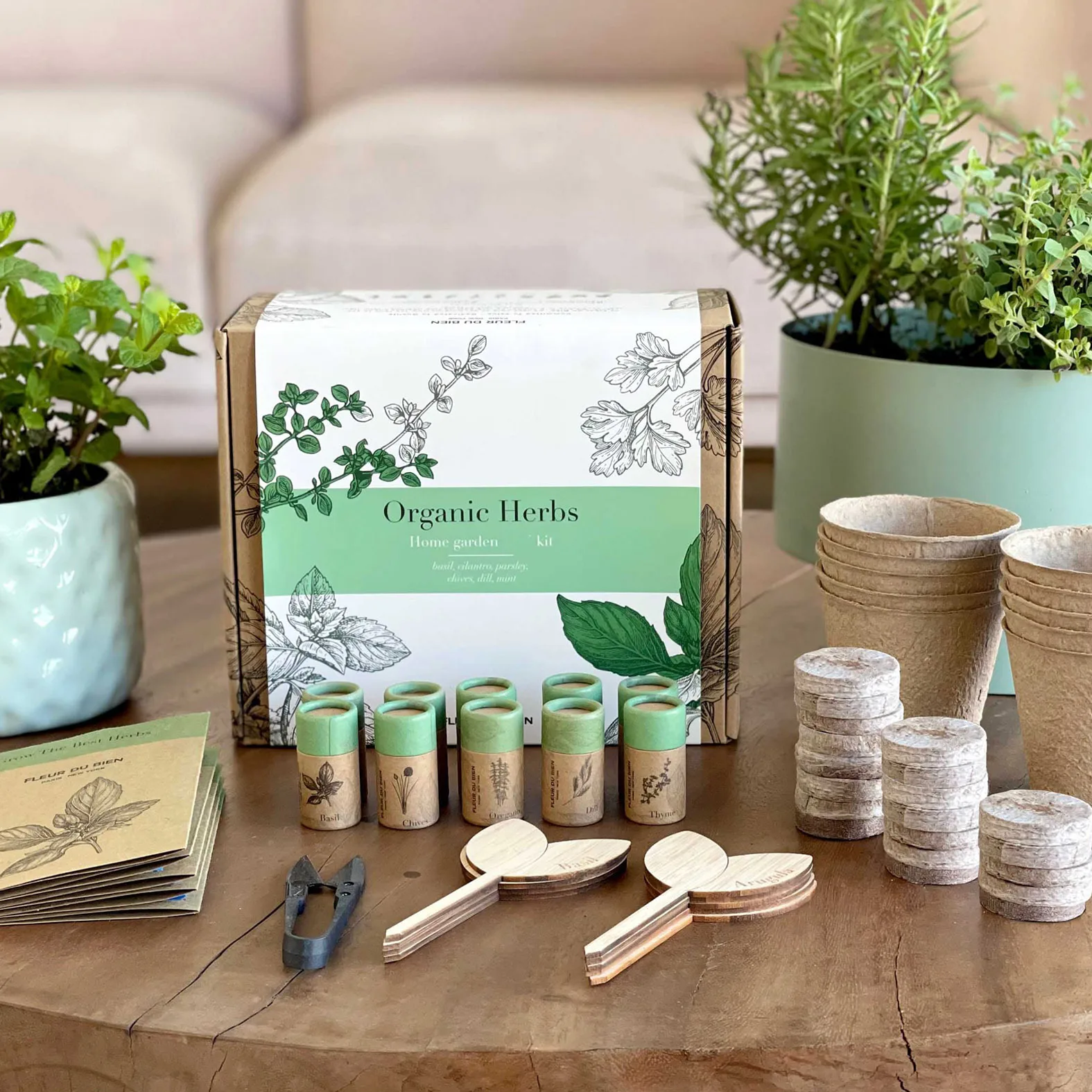 Indoor Herb Garden Starter Kit 10 Gardening Plantable Pack with Plant ...