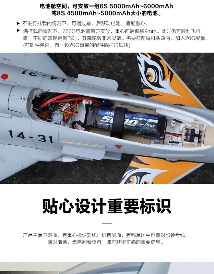 Eurofighter Typhoon RC Plane - Expert Model for Outdoor Fun