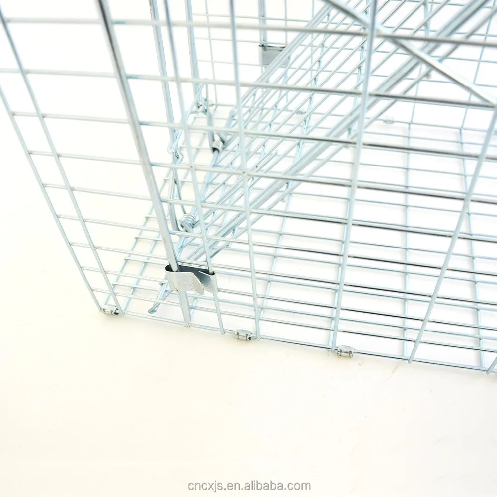 Large Plastic Mouse Cage Mouse Traps For Home - Buy Large Plastic Mouse ...