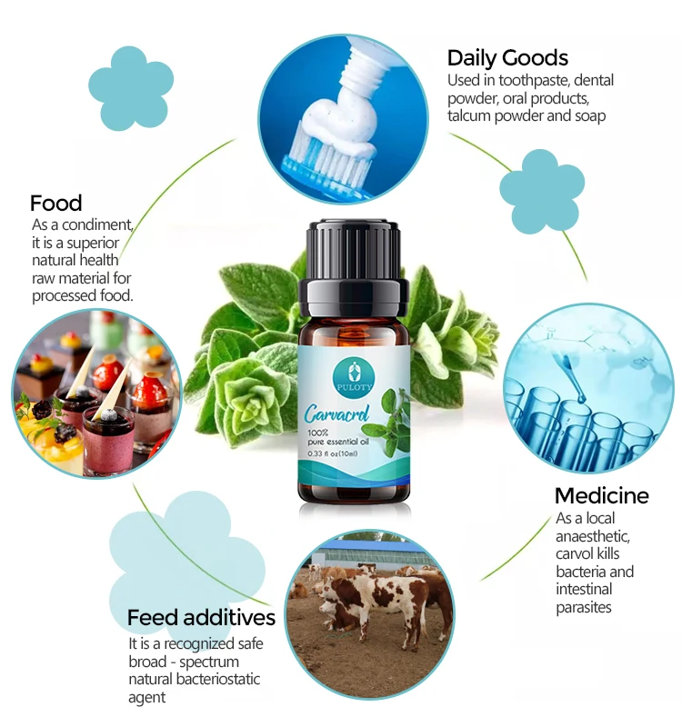 Factory Price High Purity Carvacrol 99% Cas 499-75-2 Oregano Oil ...