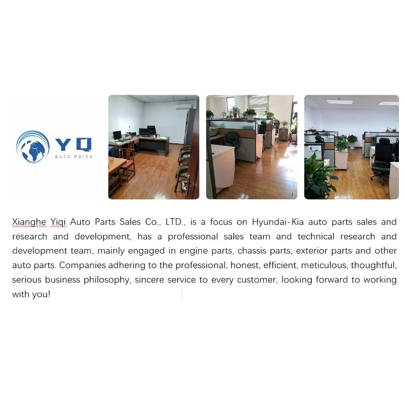 Automotive Engine Coolant Storage Tank Expansion Tank For Hyundai ...