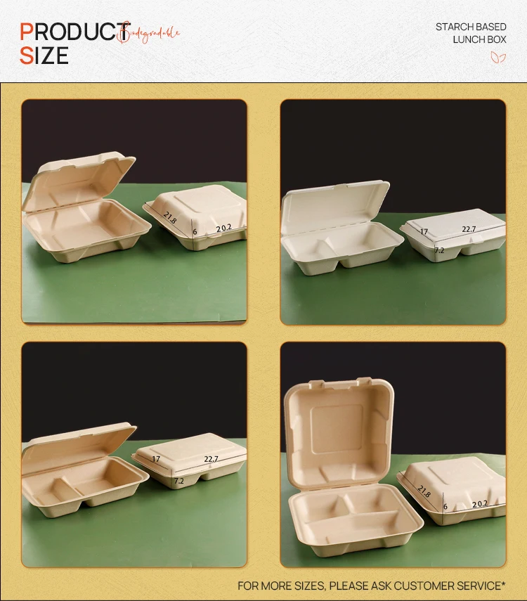 Disposable 100% Biodegradable Take Away Bagasse Sugarcane Fiber Pulp ...