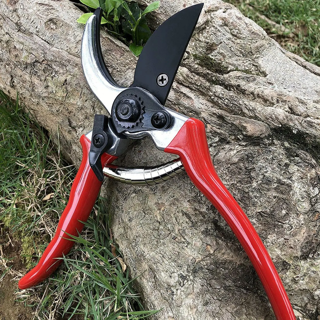 Pruning shears store