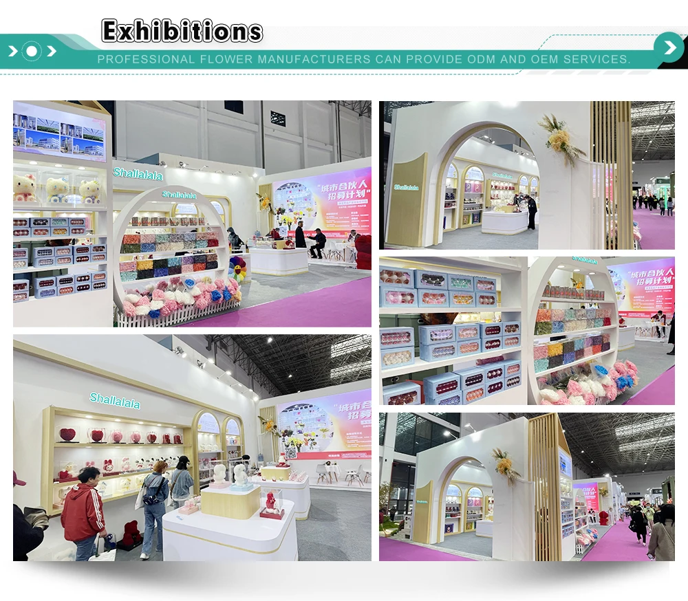 Shallalala A Grade Forever Real Flower Eternal Rose Long Lasting ...