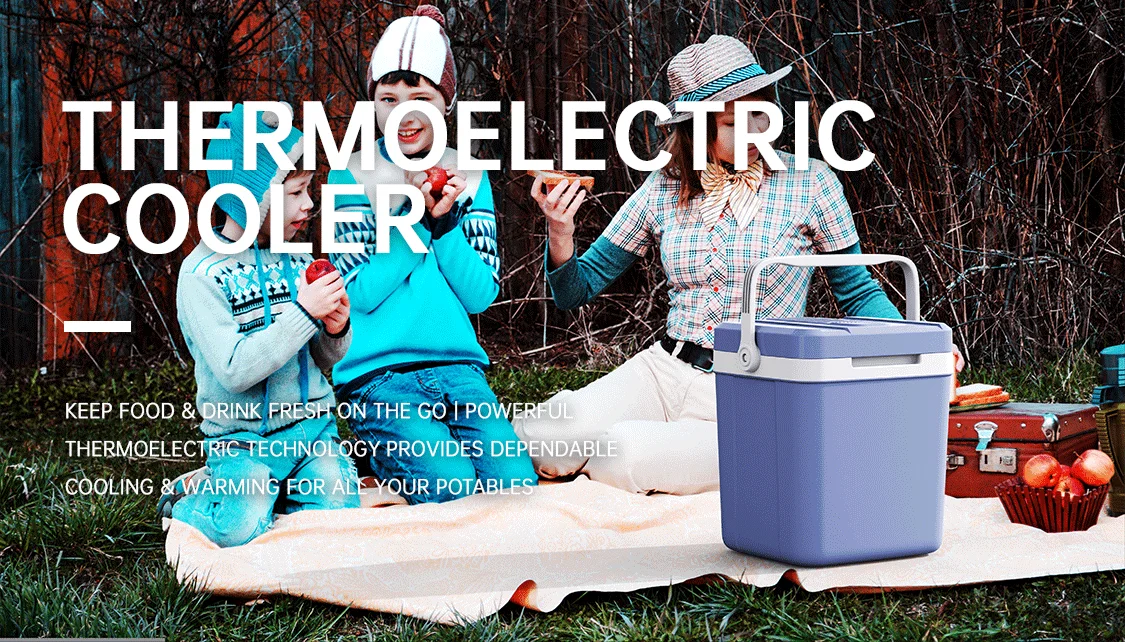 Home Appliance DC 12 Volt Refrigerator Freezer Fridge Freezer Solar ...