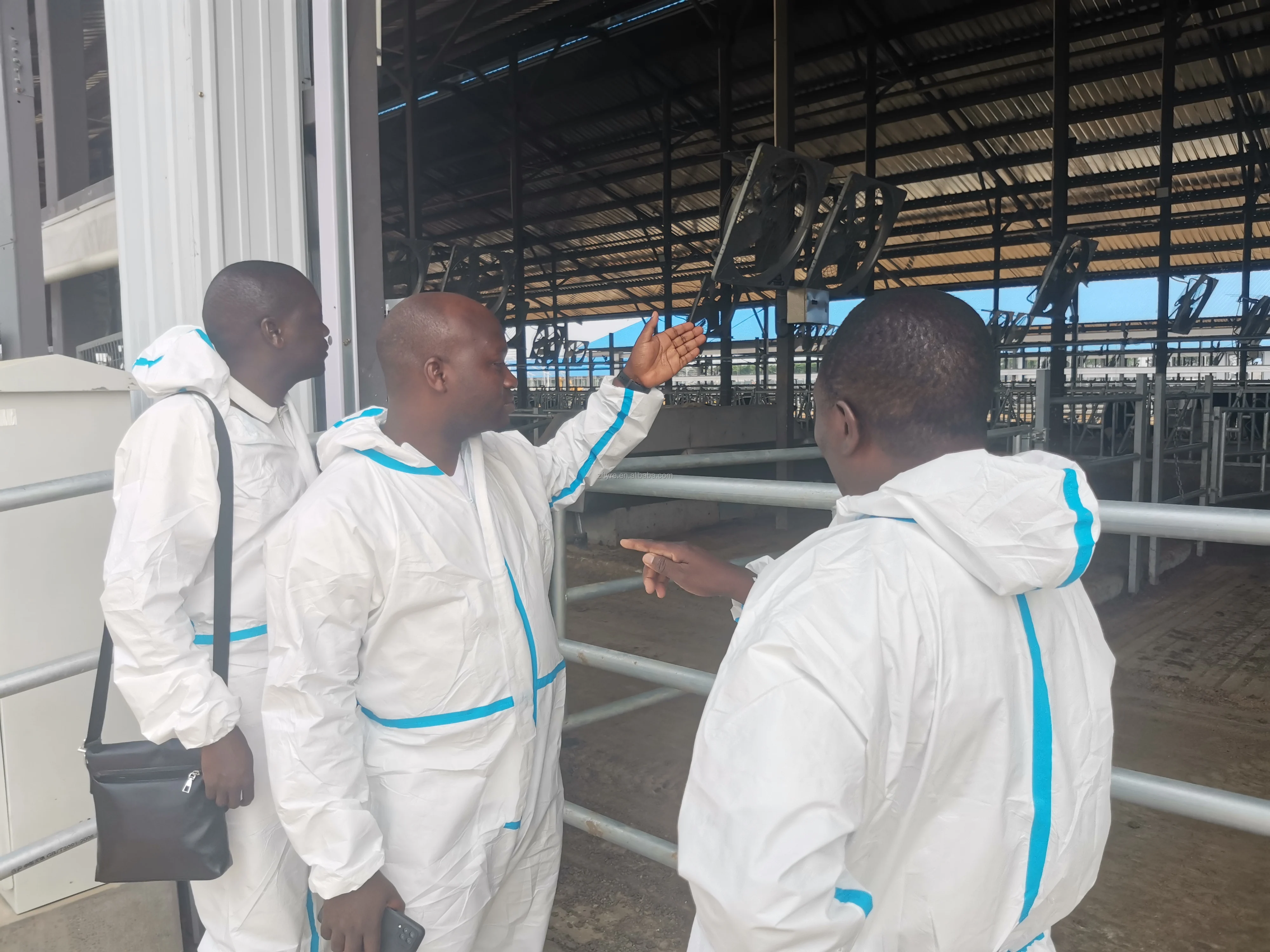 Modern Comfortable Cow Cubicles for Cattle Dairy Farm - OEM | Wholesale