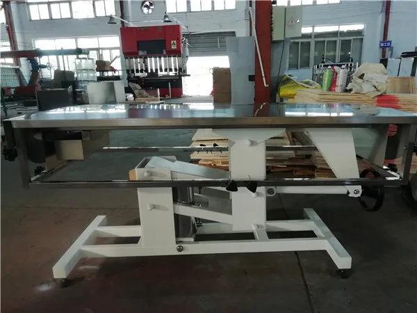 Aeolus Professional Large Stainless Steel Pet Surgical Table Pet ...