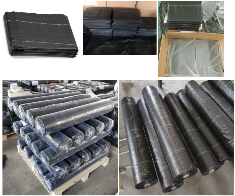 High Quality Sun Shading Net Agriculture Shade Cloth Greenhouse Plastic ...