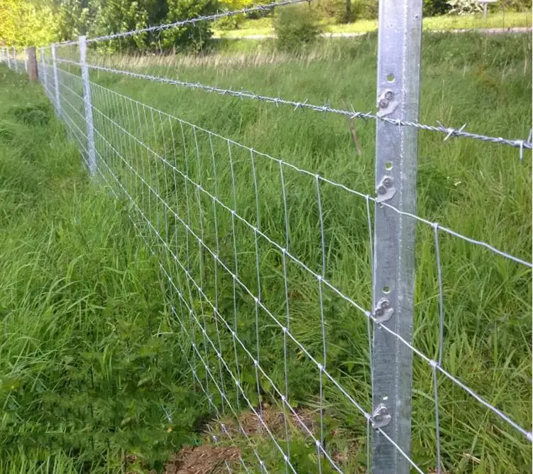 High Tensile Galvanised Farm Field Hinge Joint Fencing /cattle Fence ...