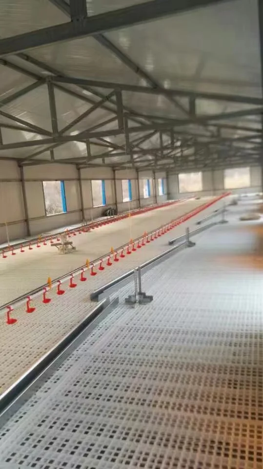 Broiler Farm Plastic Slatted Dung Leaking Board Poultry Slat Floor for ...