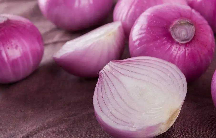 Fresh Dehydrated Red Onions - Freeze Dried Onion Powder