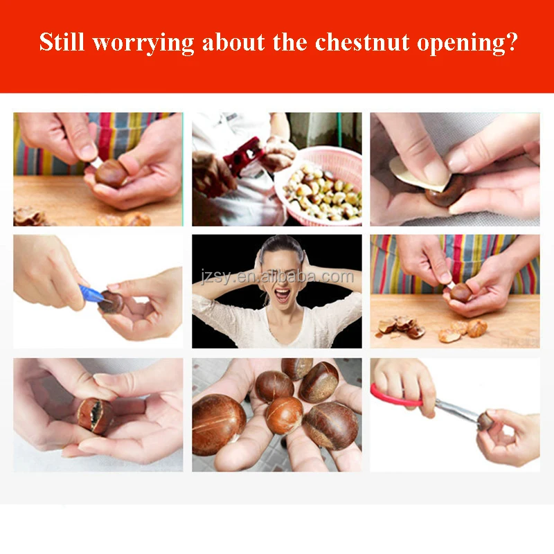 Commercial Automatic Chestnut Cutting Machine - 50kg/Hour Chestnut ...