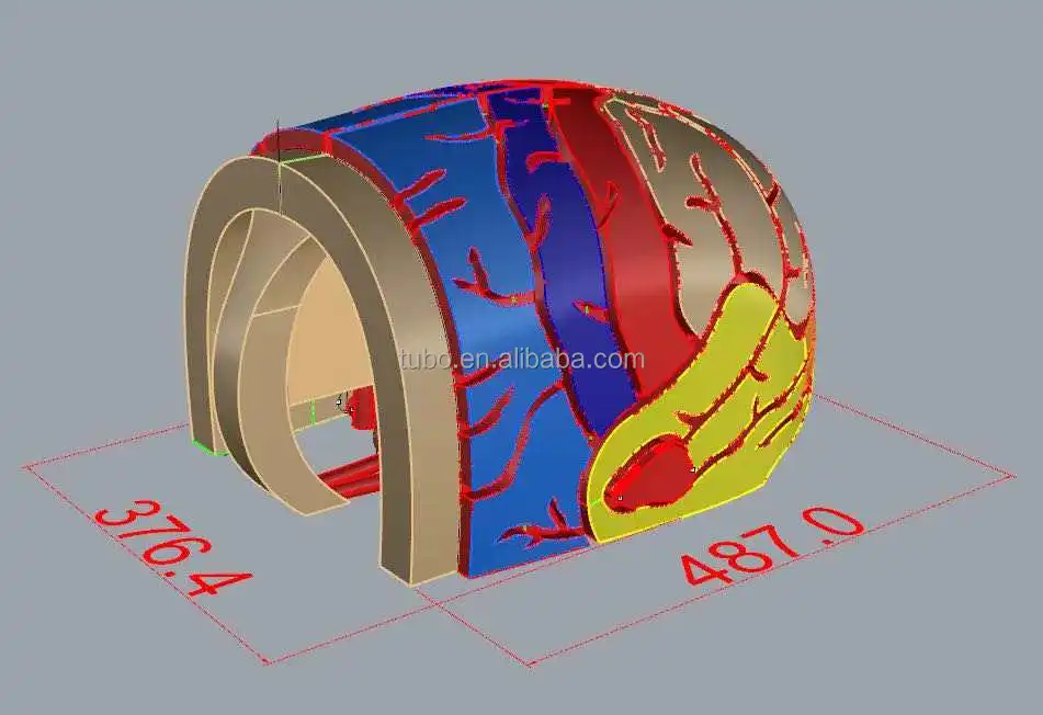 4.8m Giant Inflatable Brain Organ for Outdoor Exhibits