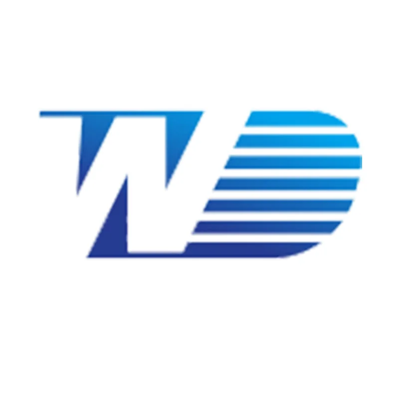 Company Overview - Gohi Shanghai Co., Ltd.