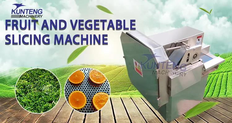 Multi Function Continuous Pepper Dehydration Machine