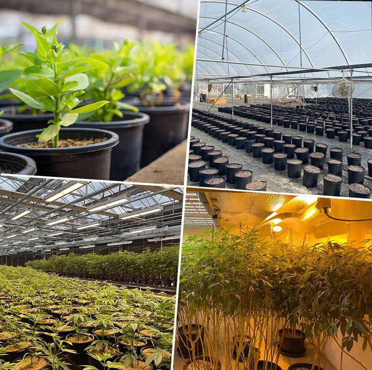 Factory Wholesale Durable Greenhouse Plastic Nursery Grow Pots 1 2 3 5 ...