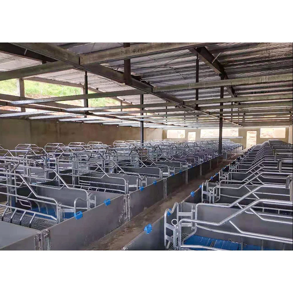 Pig Farm Epc Project Floor Plan Design Modern Pig Farm Intelligent Pig ...