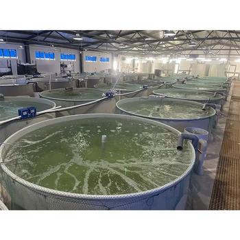 Ras Recirculation Aquaculture System Layout Design Indoor Fish Farming ...