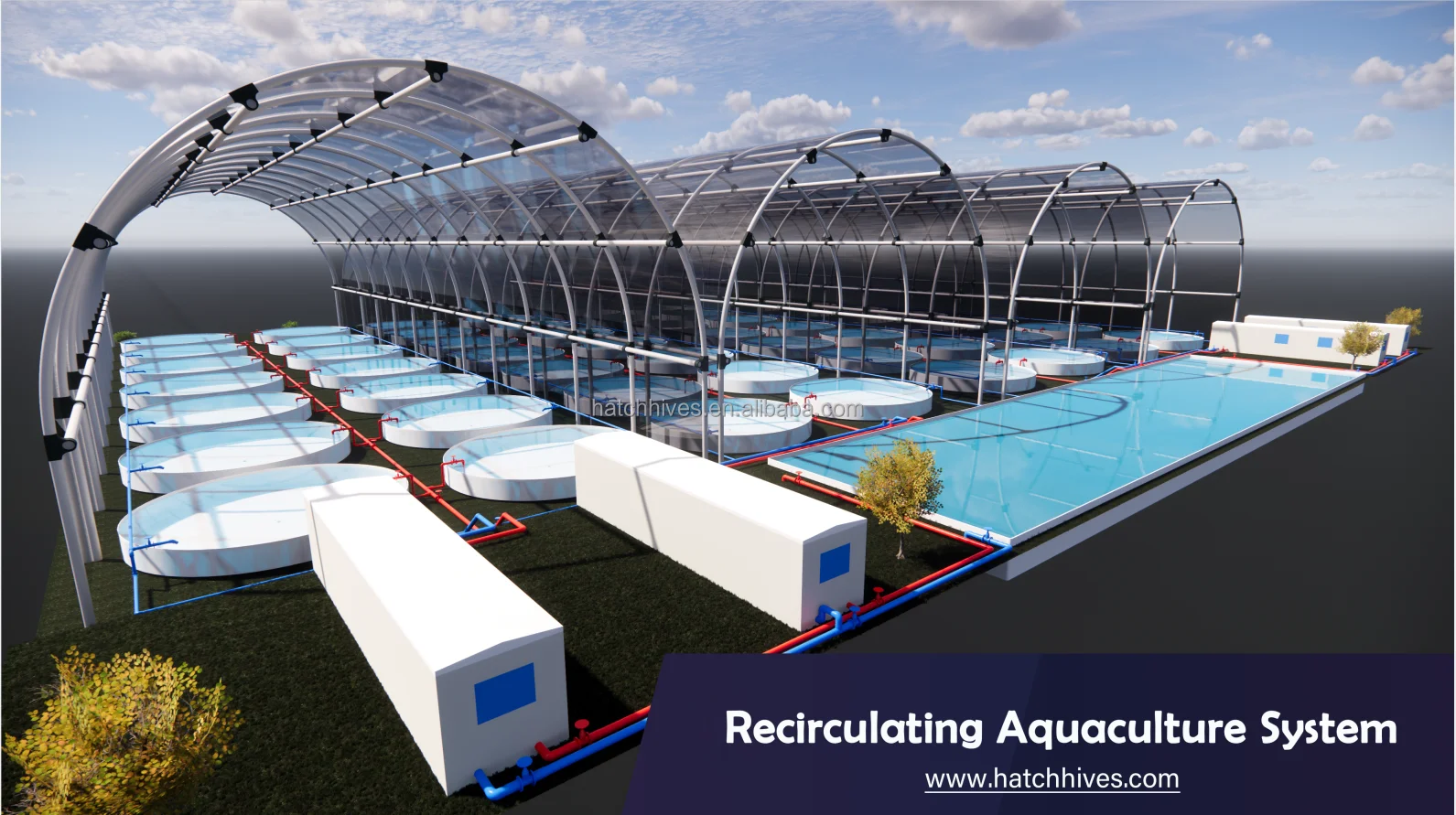 Top-Tier RAS System Technology Recirculating Aquaculture Equipment for ...