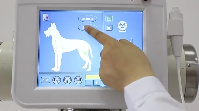 Dog Cat Pet X Ray Medical Animal Dr X-ray Veterinary Equipment 32kw ...