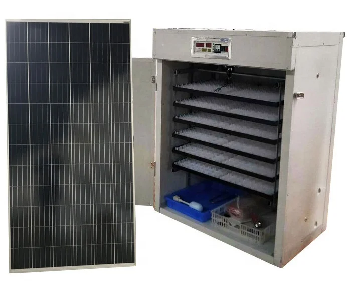 Alibaba.com: BeYou Commercial Chicks Incubator, Solar Power Full ...