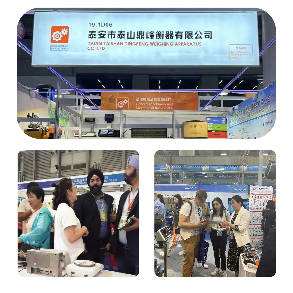 Dingfeng Factory Direct Sales Of High-end Stainless Steel Fruit ...