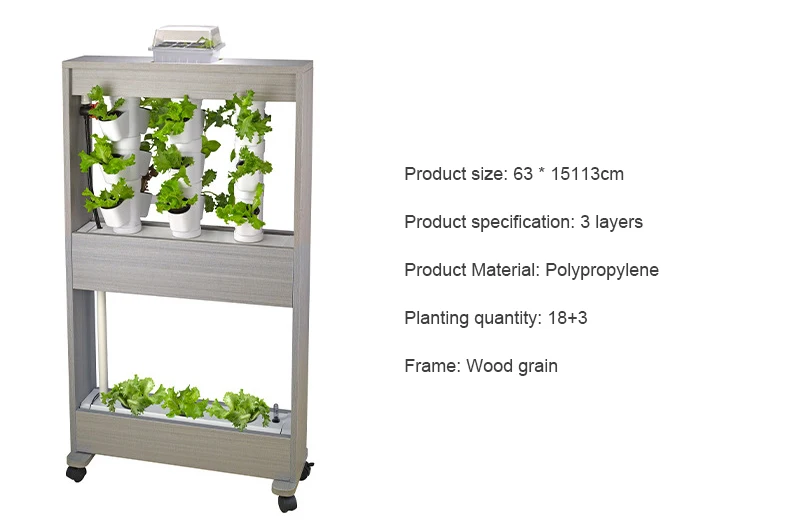 Hydroponic Strawberry Growing Systems - Efficient & Sustainable