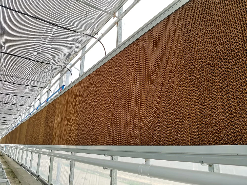 Hydroponics System Fruits Growing Equipment Intelligent Multi-span ...