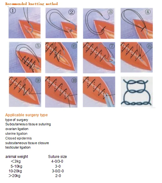 Medical Veterinary Suture - Absorbable Polyglycolic Acid PGA