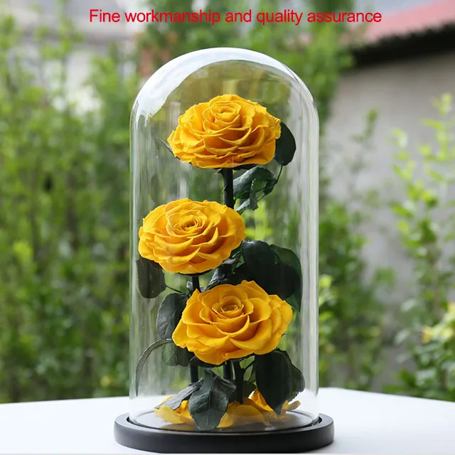 Beauty And The Beast Rose In Glass Dome With Led Real Preserved Eternal ...