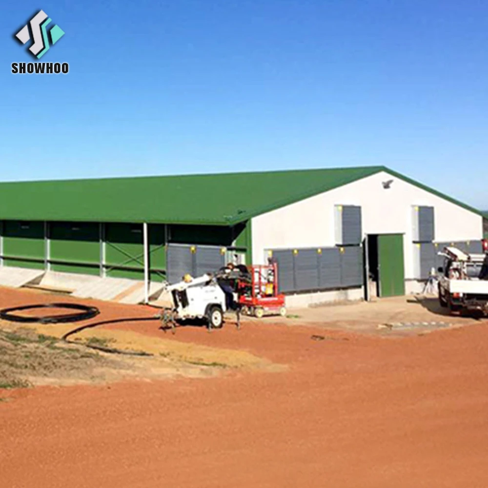 Modern Chicken Farm House Design - Affordable Steel Poultry Sheds for ...