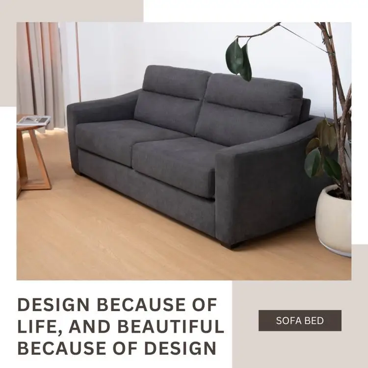 EURA Modern Design Multi Function Sofa Bed for Living Rooms