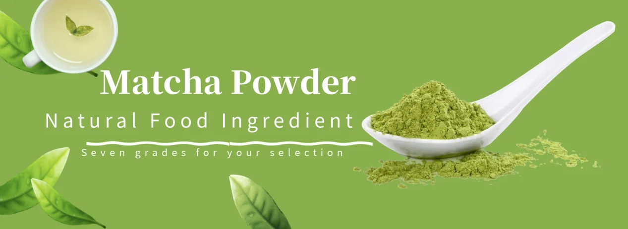 Halal Matcha Green Tea Powder - Pure & Versatile