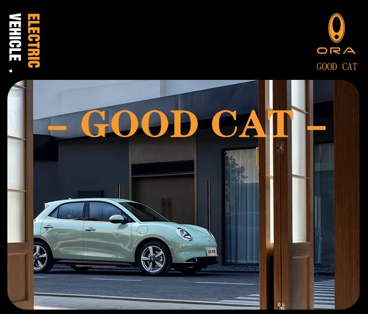 Great Wall Ora Funky Cat Mini Electric Car Ev New Energy Vehicles 401km ...