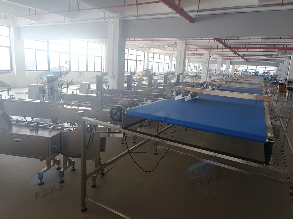 Auto Sorting Line Multi-rows Automatic Feeding Conveyor Connect With ...