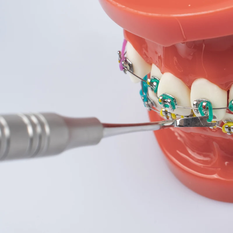 Stainless Steel Dental Orthodontic Lingual Tucker For Orthodontic ...