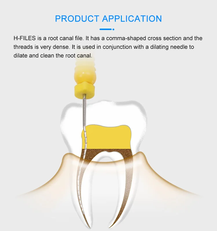 H File Root Canal File Oral Care Root Canal Manual File Dental Highly ...