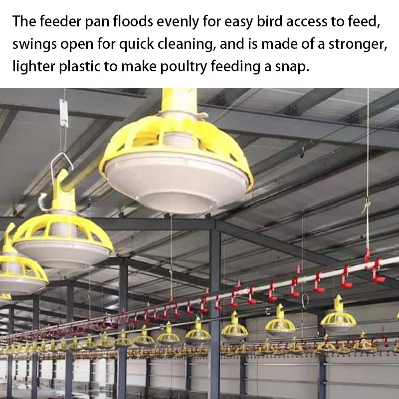 Automatic ROXELL Broiler Feeder Pan - Efficient Poultry Feeding