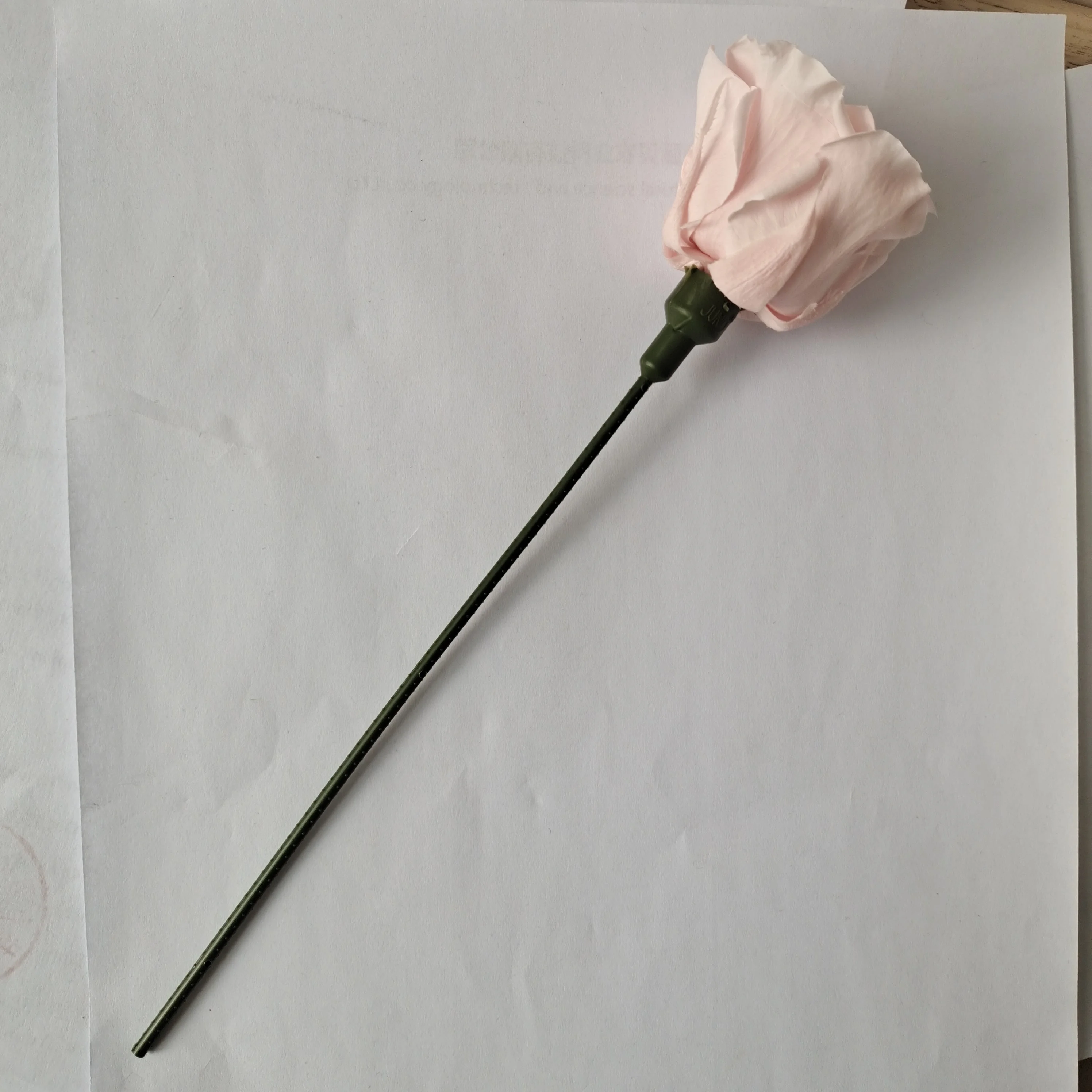 Valentine's Day Plastic Golden Rose Stems In Acrylic Flower Box For ...