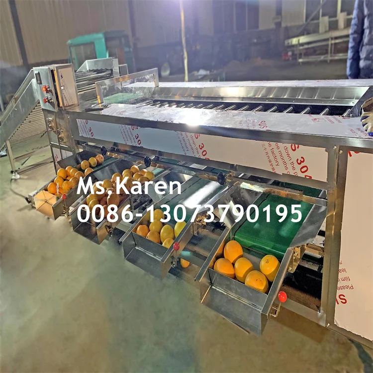 Longan Grader Machine Mangosteen Size Sorting Machine Cherry Tomato ...