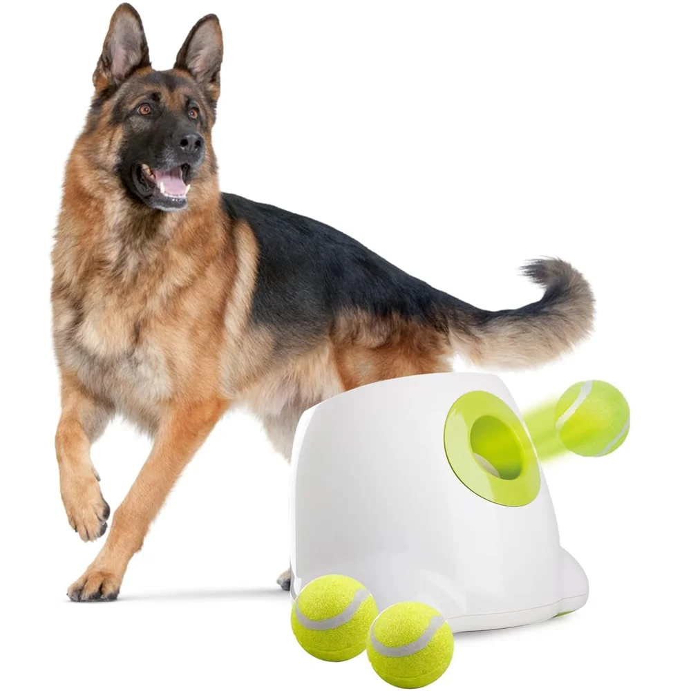 Fetch machine for large dogs store