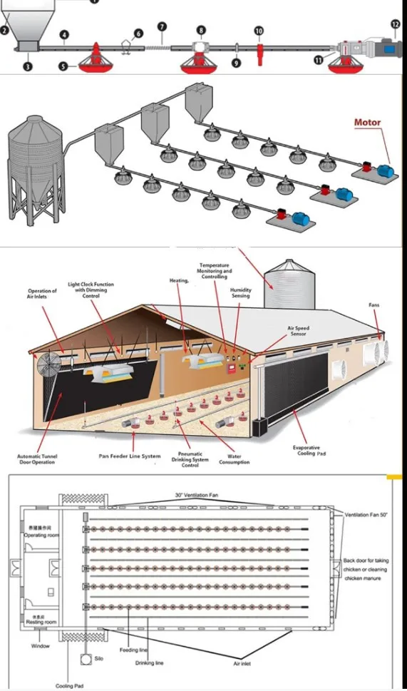 Complete Poultry House Turn Key Project Automatic Feeding Equipment ...