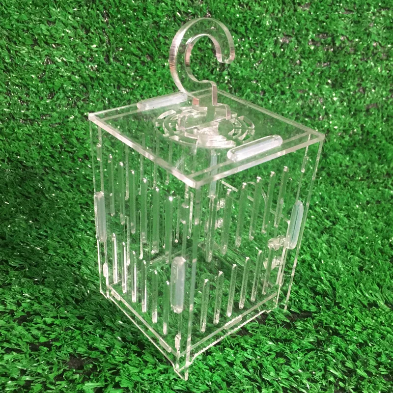 Acrylic Insect Cage - Perfect for Grasshoppers & Crickets