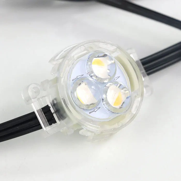 Smart Outdoor Holiday Lights - Durable RGBW LED Modules