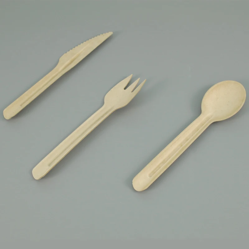 Biodegradable Sugarcane Bagasse Cutlery - Perfect for Parties
