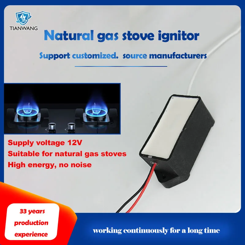 Gas Burner Ignition Controller Unit Igniter for Gas Control