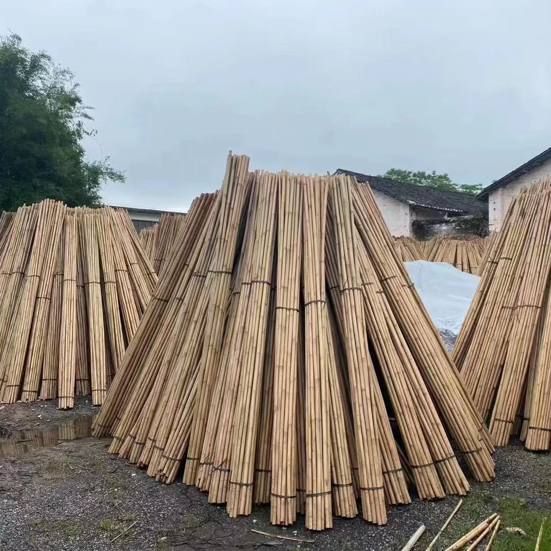 NIF Agriculture Farm Bamboo Canes Tonkin Bamboo Poles for Garden/roof ...