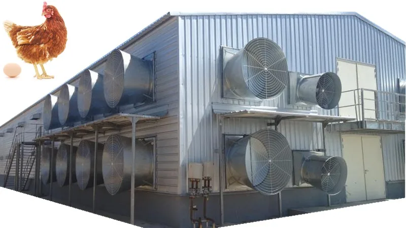 Environment Controlled Prefabricated Light Steel Structure Poultry ...