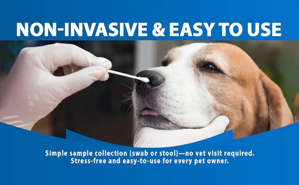 Canine Blood Parasites Ehrlichia Babesia Gibsoni Anaplasma Heartworm ...