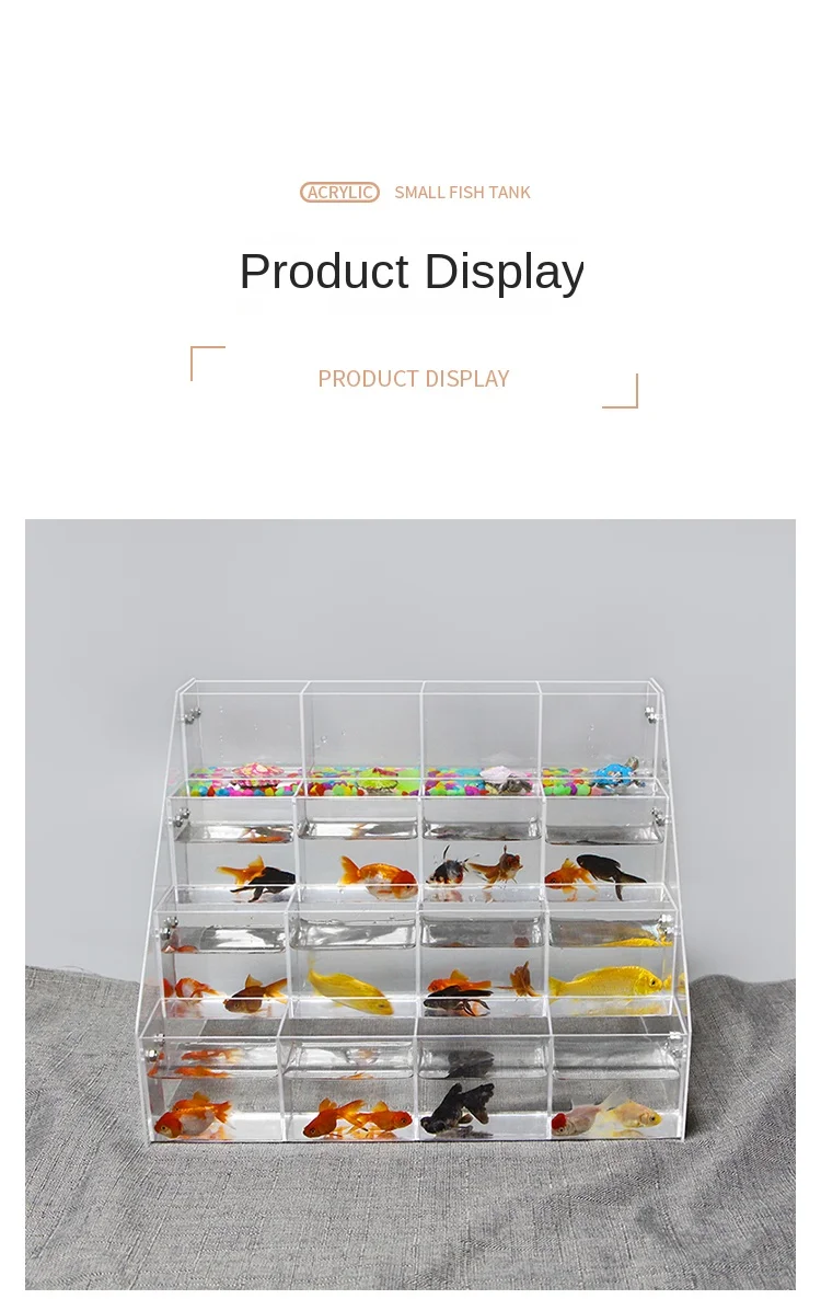 Betta Fish Tank - Multi Layer Ecological Aquarium
